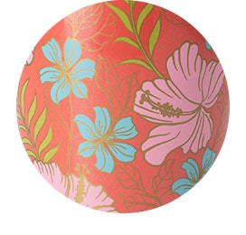 Sips for Kids - Kids Tumblers + Lunch Bags - Swig Life